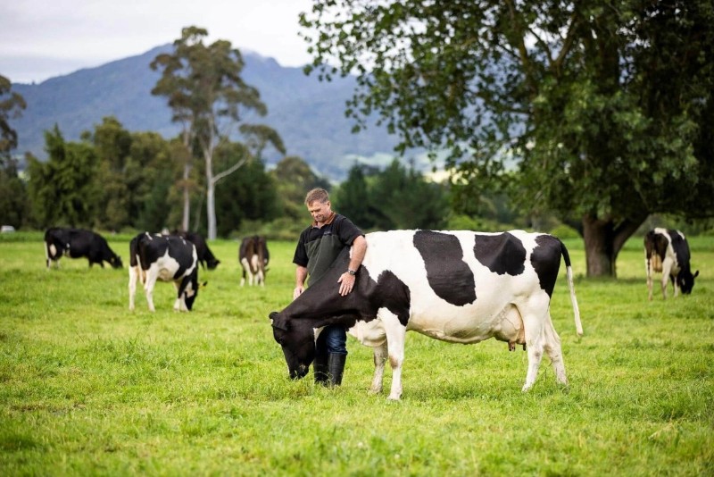 资料中心-FIC2024展览会-恒天然NZMP中国官网