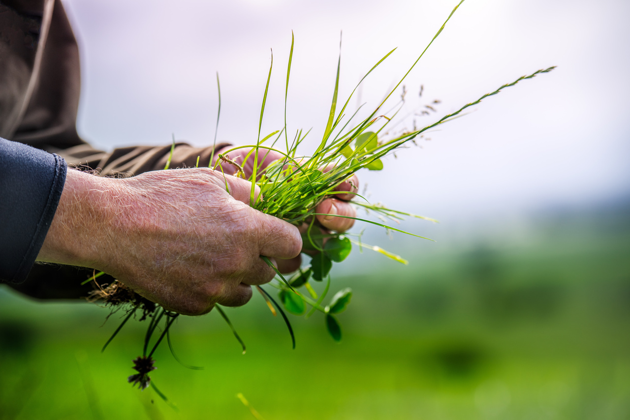 恒天然NZMP原料业务在FIC2024引领每日乳品新风向-恒天然NZMP中国官网